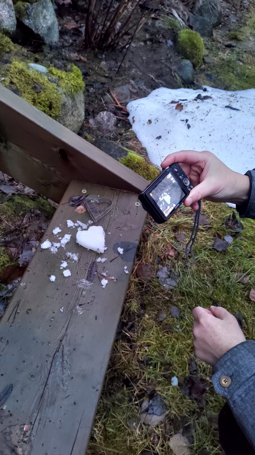 SYDÄNTARINOIDEN TAIDENÄYTTELY ”HIETASALON SAAREN SYDÄMET” – OSALLISTU ÄÄNESTYKSEEN! - Karpatiat Ry