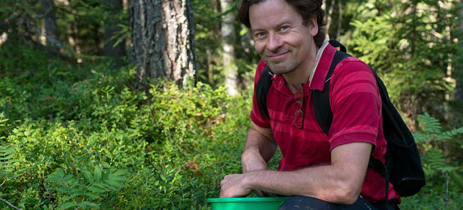 Marjastaminen luo hyvinvointia - Sydänliitto